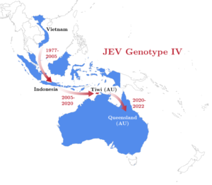 Epidemiology – JEVISN